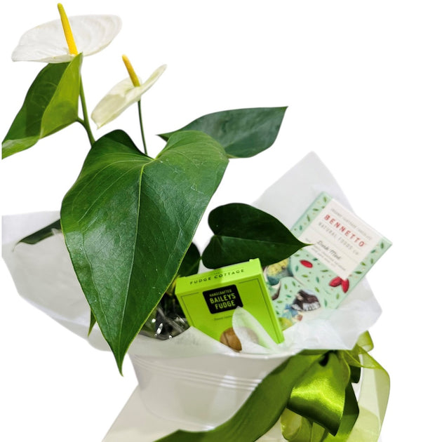 Products – Mayflower-Studio-Florist
