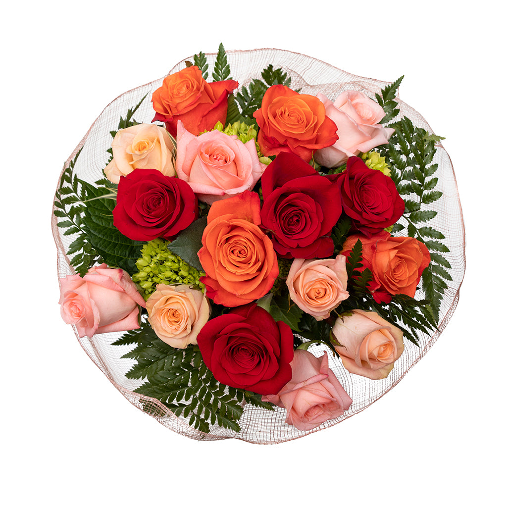 Roses – Mayflower-Studio-Florist