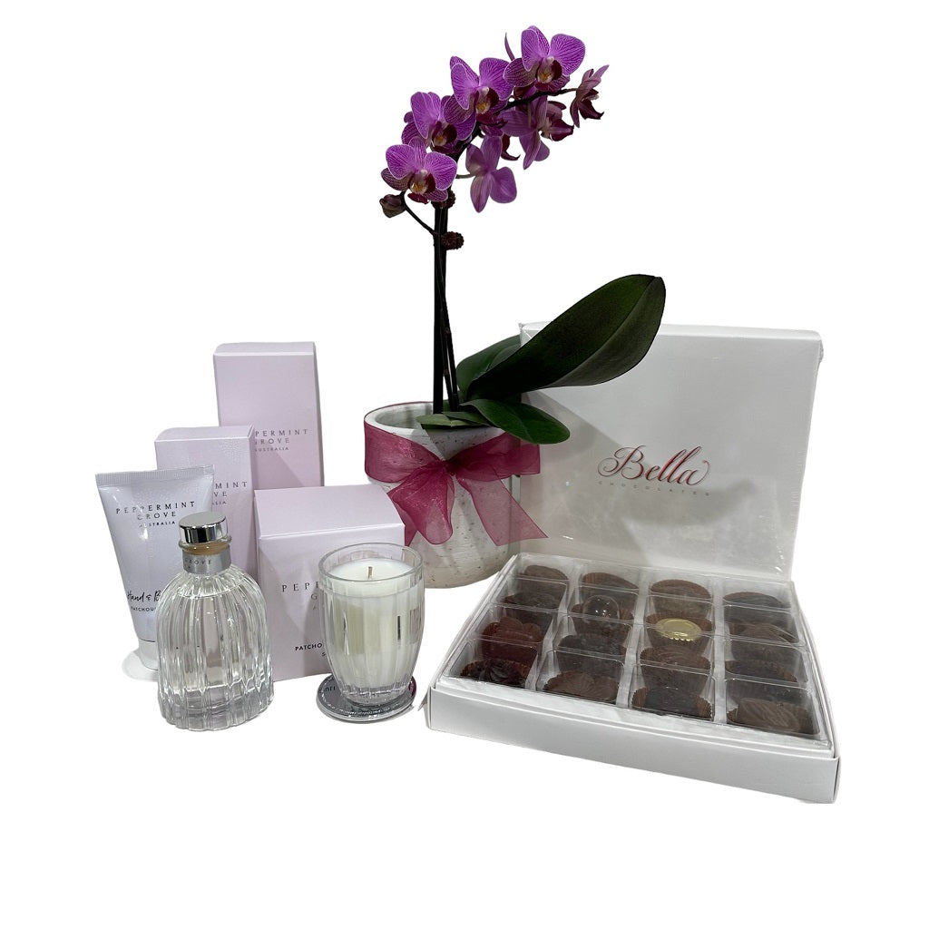 Plants – Mayflower-Studio-Florist